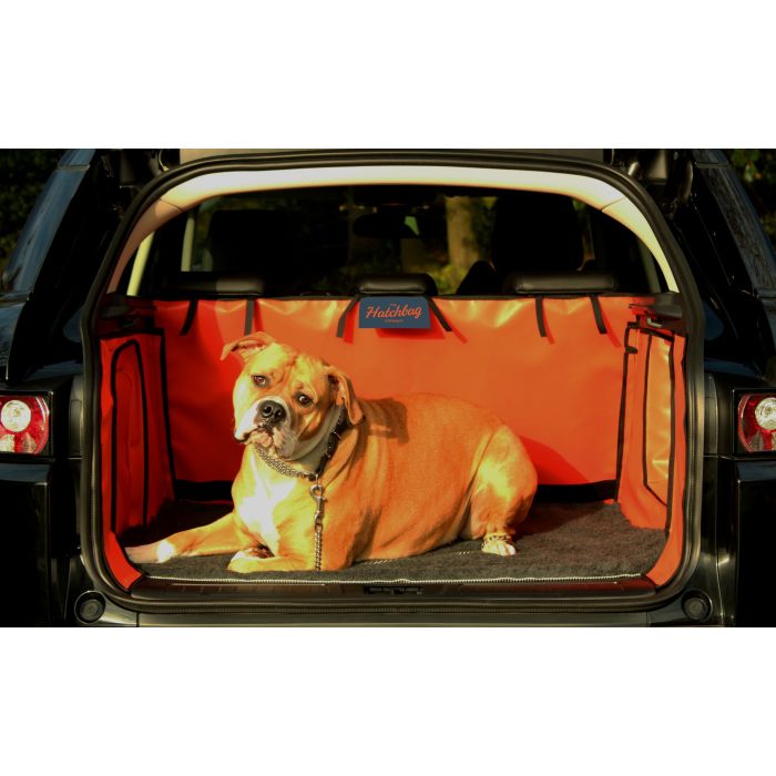 Audi Q3 Cargo mats Hatchbag US